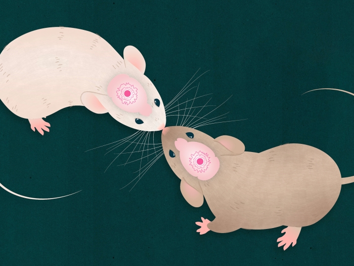 Pediatric Early Autism Recognition System (PEARS) | University of ...