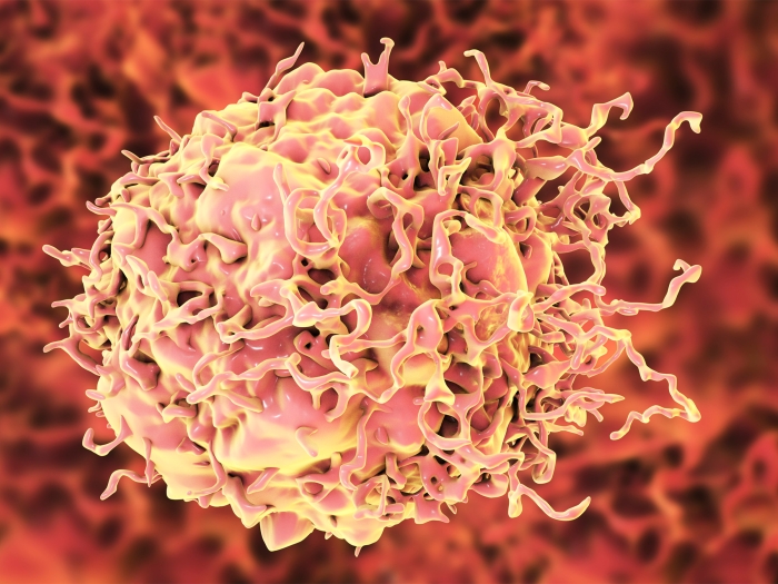 Esophageal Endoscopic Mucosal Resection (EMR) | University of Michigan ...