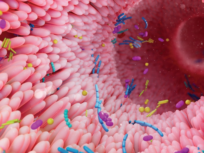 Endoscopic Retrograde Cholangiopancreatography (ERCP) | University of ...