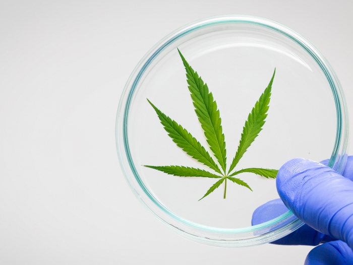 U-M Addiction Treatment Services (UMATS) | University of Michigan Health