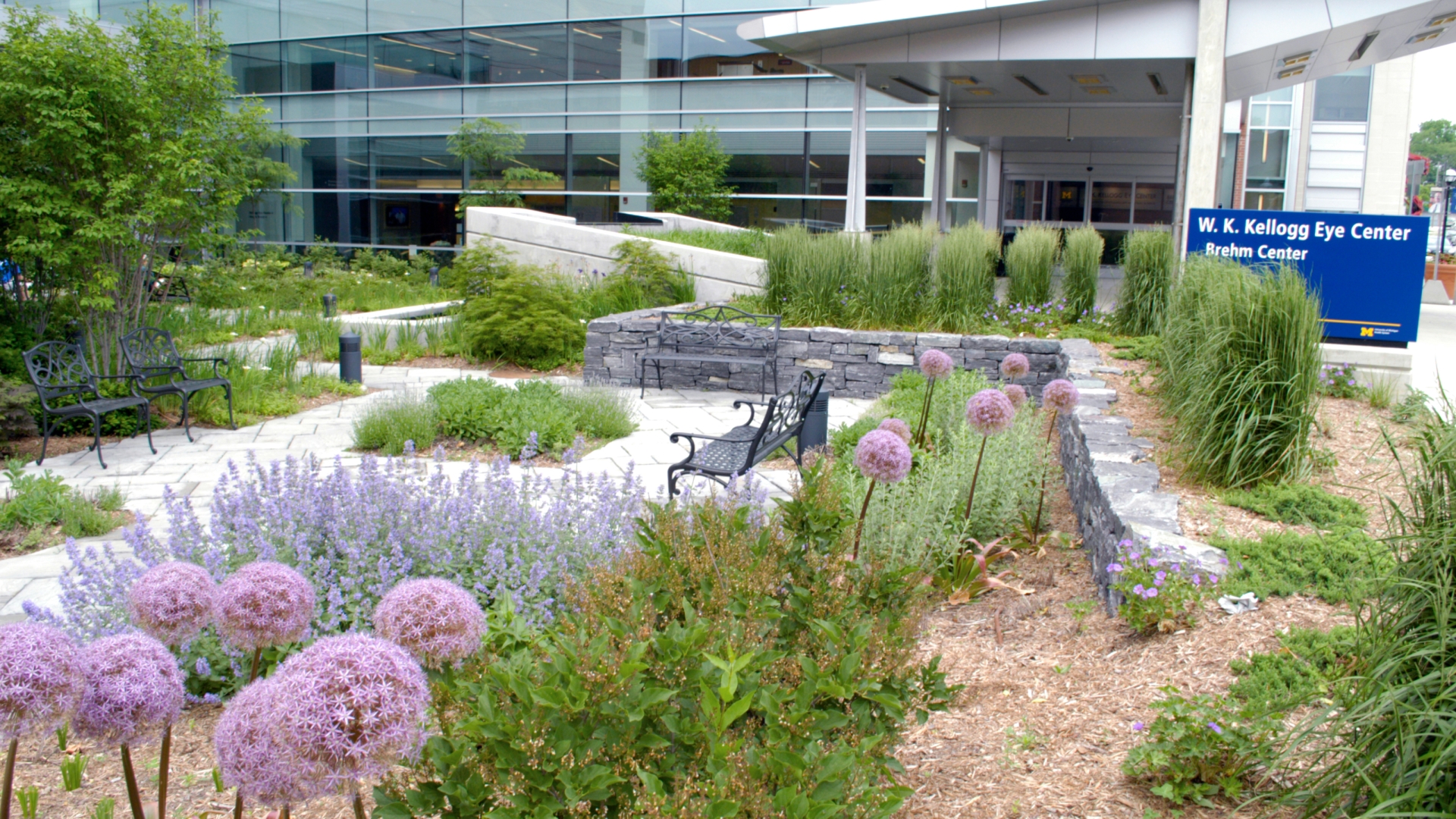About the Kellogg Eye Center | University of Michigan Health