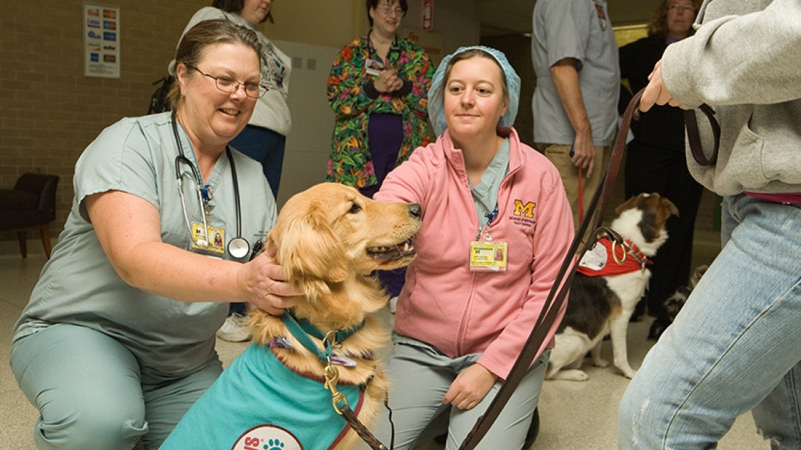 Animal Therapy | University of Michigan Health
