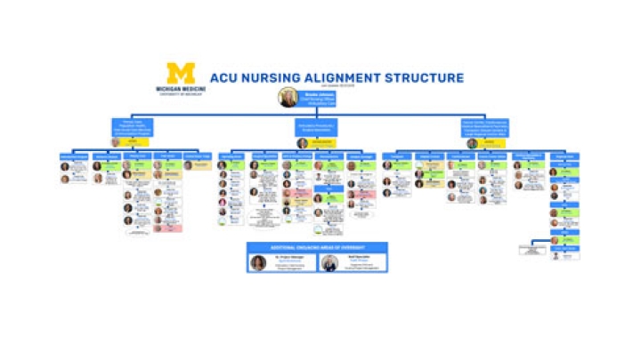 Nursing Leadership & Organizational Structure | University of Michigan ...