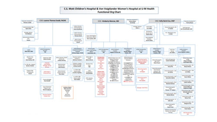 Nursing Leadership & Organizational Structure | University of Michigan ...